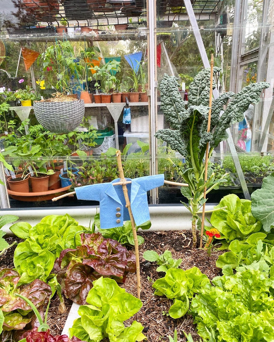 Peter Rabbit Garden Jacket Pattern - Etsy