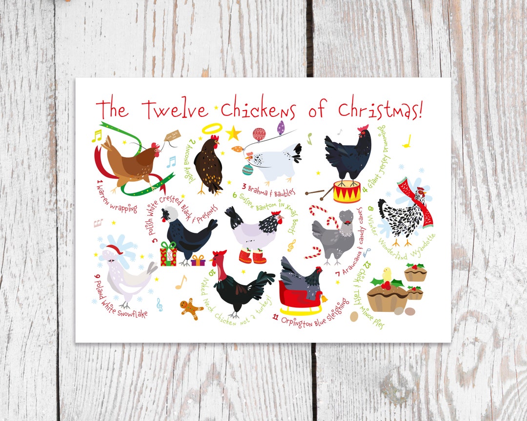 Chicken Christmas Cards, the 12 Chickens of Christmas, Chicken Breeds ...