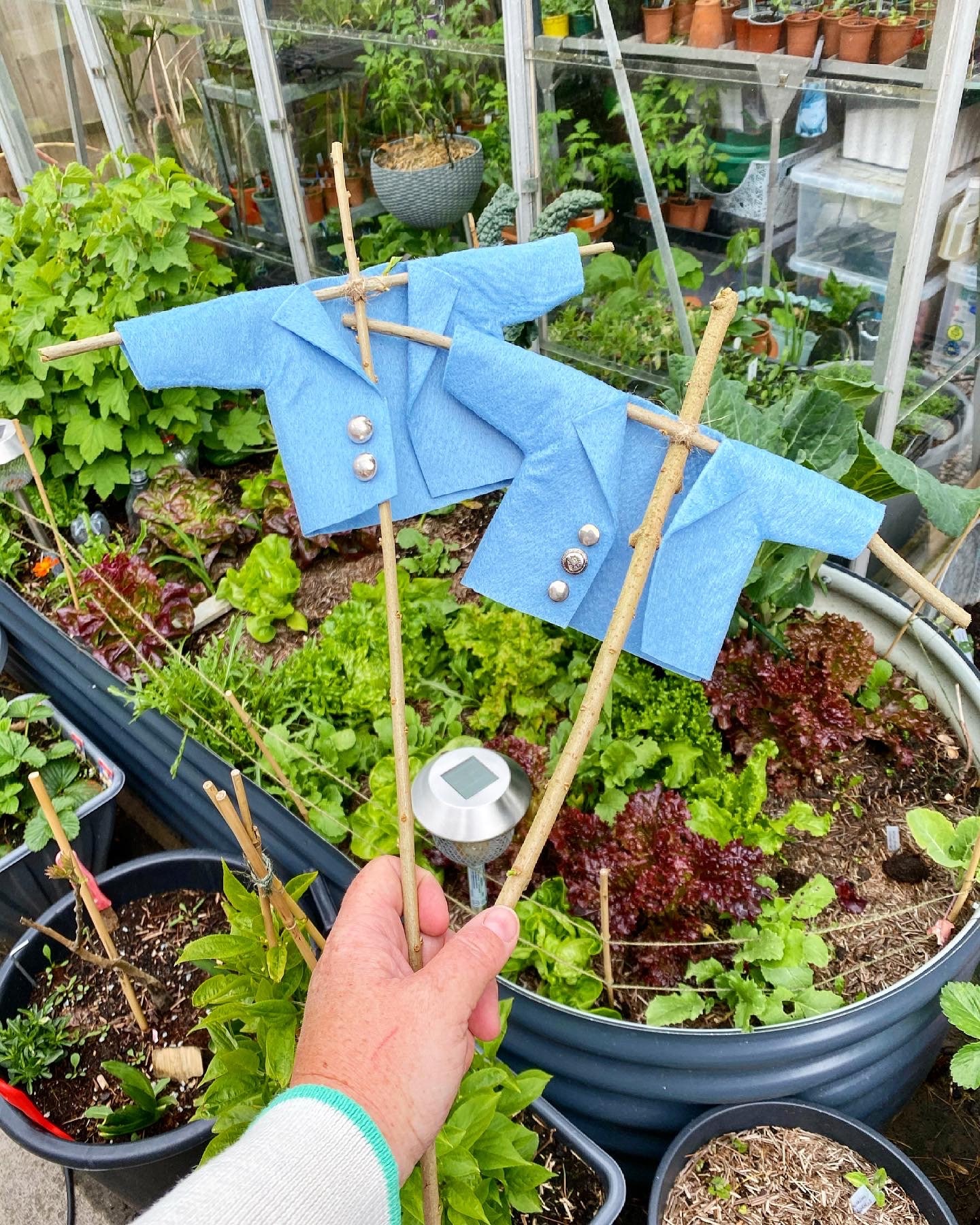 Peter Rabbit Garden Jacket Pattern - Etsy