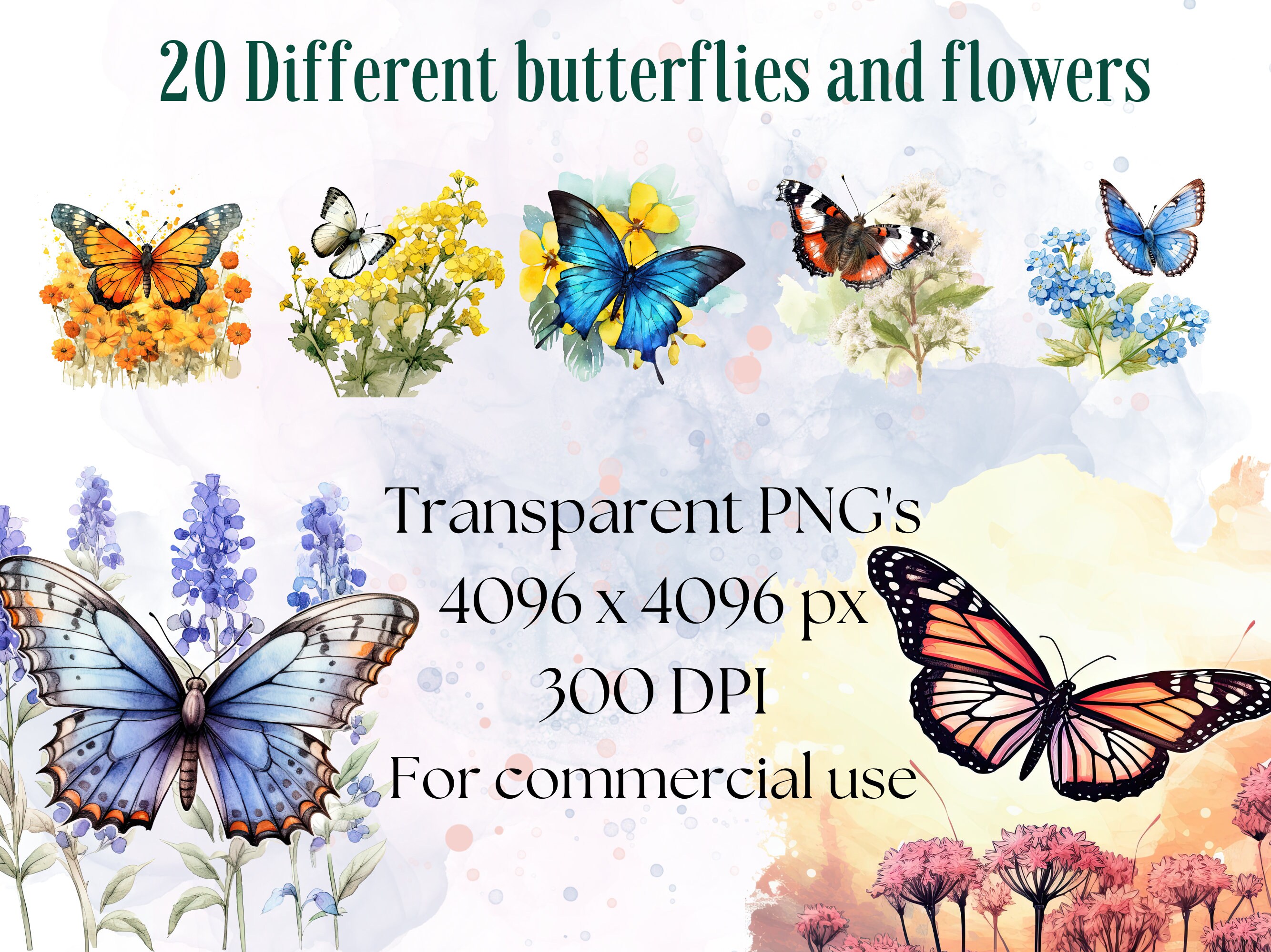 Butterflies and Flowers Watercolor Clipart for Commercial - Etsy