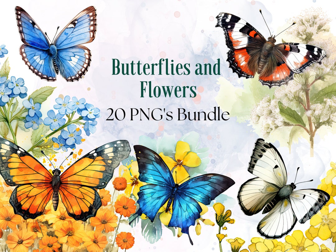 Butterflies and Flowers Watercolor Clipart for Commercial - Etsy
