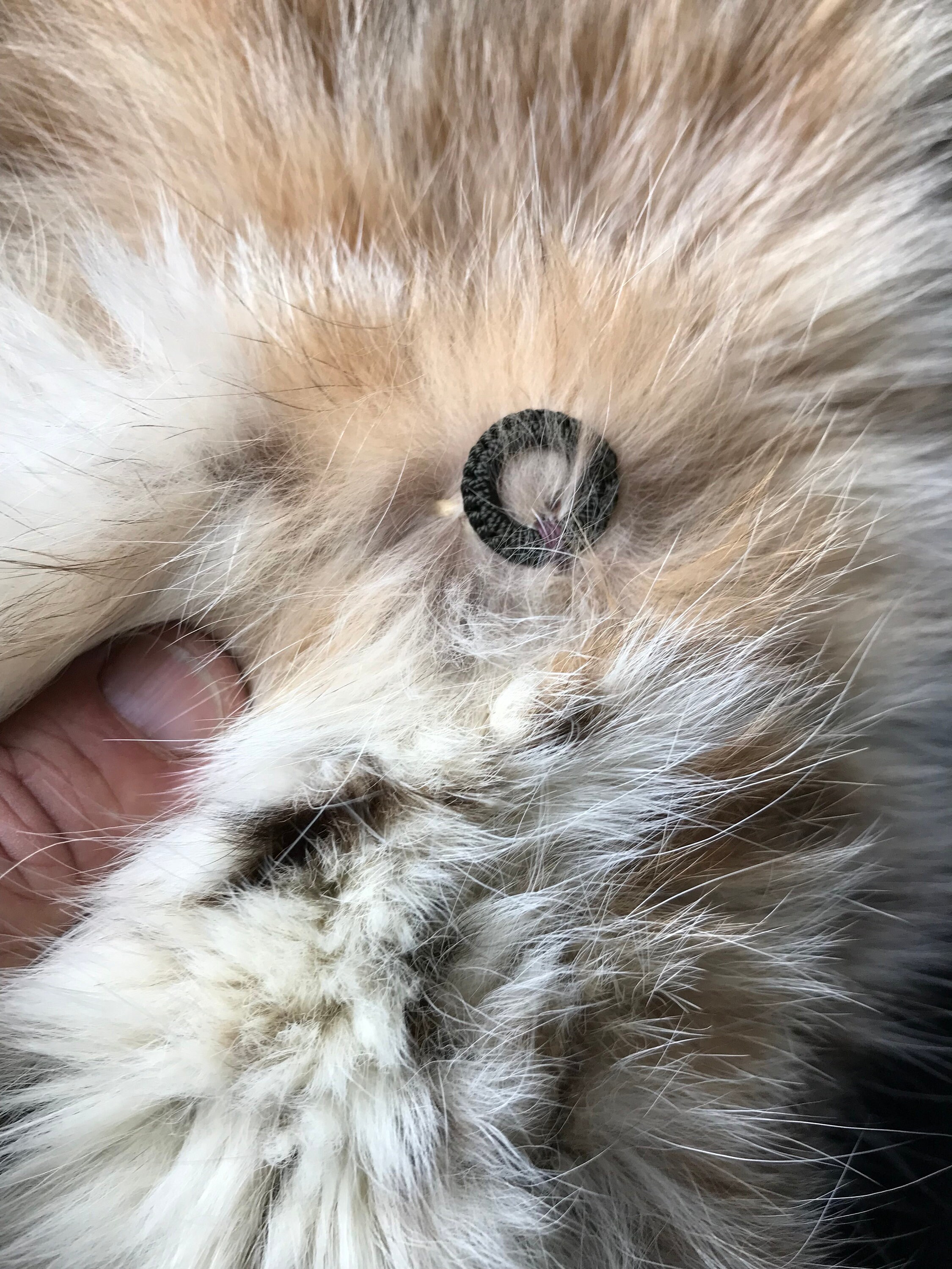 Lynx Neck Wrap - Etsy