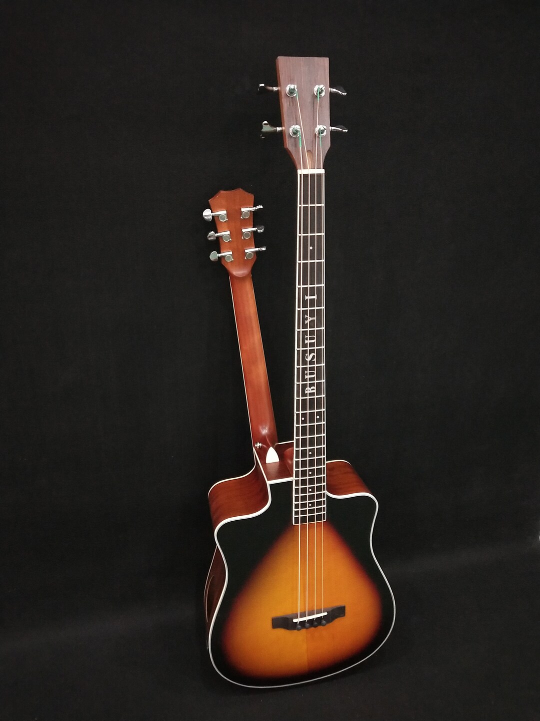 Acoustic Double Neck 4 String Bass / 6 String Lead Combo 2020 Guitar ...