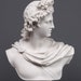 Apollo Bust Sculpture Medium - Greek Bust Statue of Apollo Belvedere ...