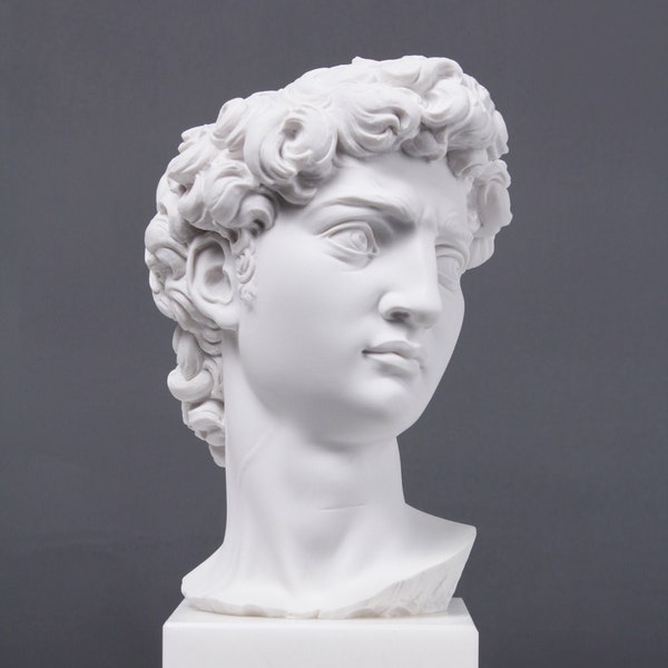 Michelangelo David Bust Sculpture - Etsy