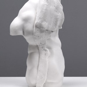 Torso of Adonis Statue (small) - Classic Nude Male Sculpture Art in ...