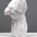 Torso of Adonis Statue small Classic Nude Male Sculpture Art in Marble ...