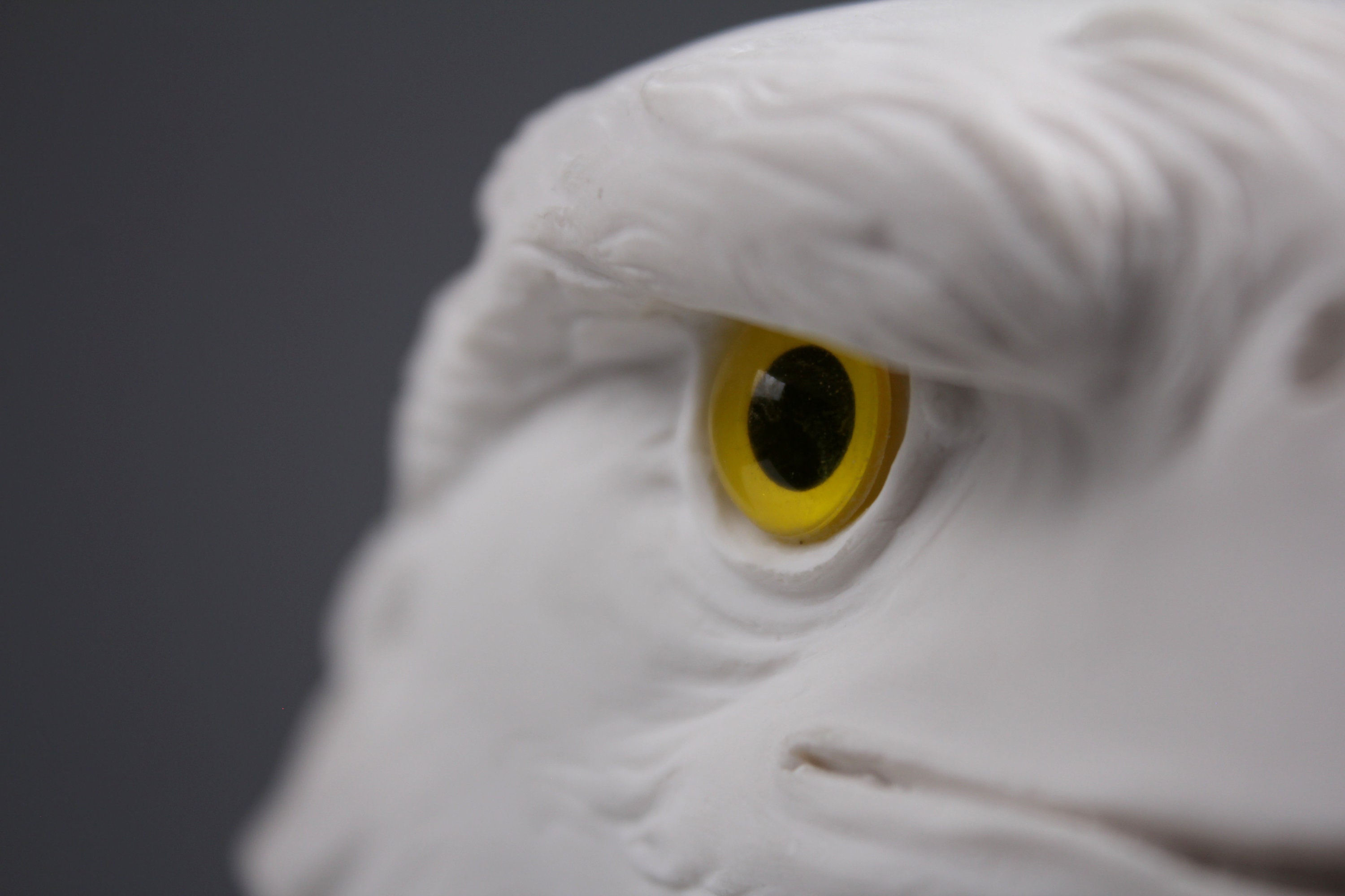 Eagle Statue Animal Bust Sculpture Falcon Head Made in Europe | Etsy