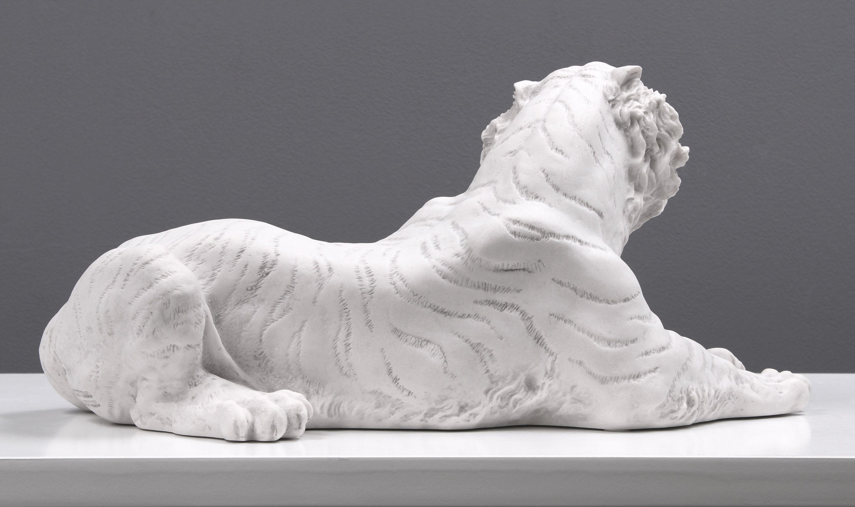 Tiger, Lying and Roaring Statue (small) - Animal Sculpture Art in ...