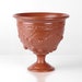 Terra Sigillata Goblet With Olives - Roman Pottery - Samian Ware - 12 ...