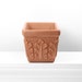 Long Rectangle Terracotta Planter - Decorative - Gardening - Planter ...