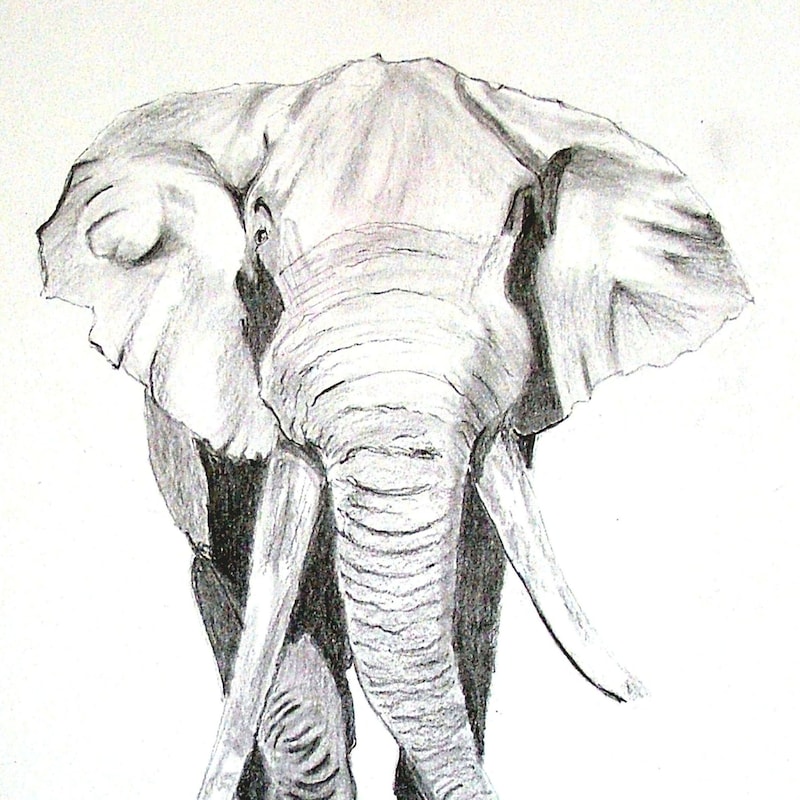 Graphite Drawing - Etsy