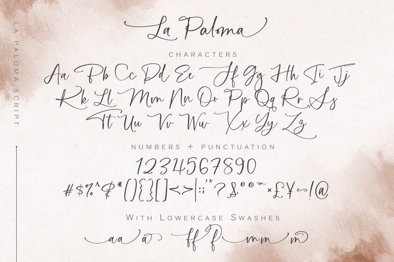 La Paloma Script Font: Elegant Handwritten Typeface (instant Download ...