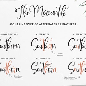The Mercantile Font Family: Handwritten Script Fonts (instant Download ...