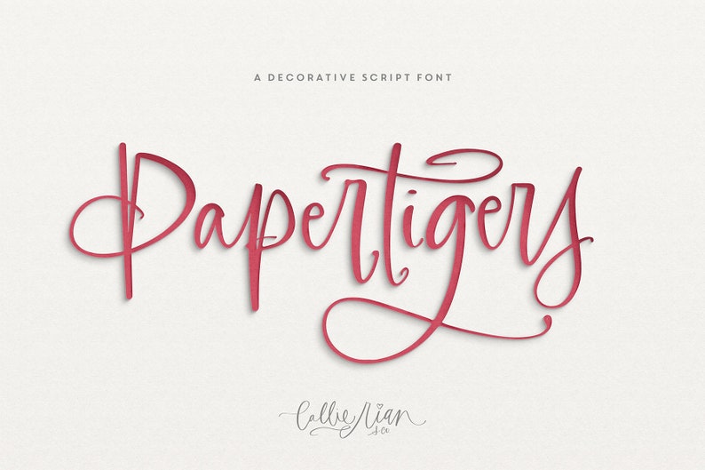 Paper Tigers Script Font, Handwritten Fonts, Calligraphy Fonts, Script ...