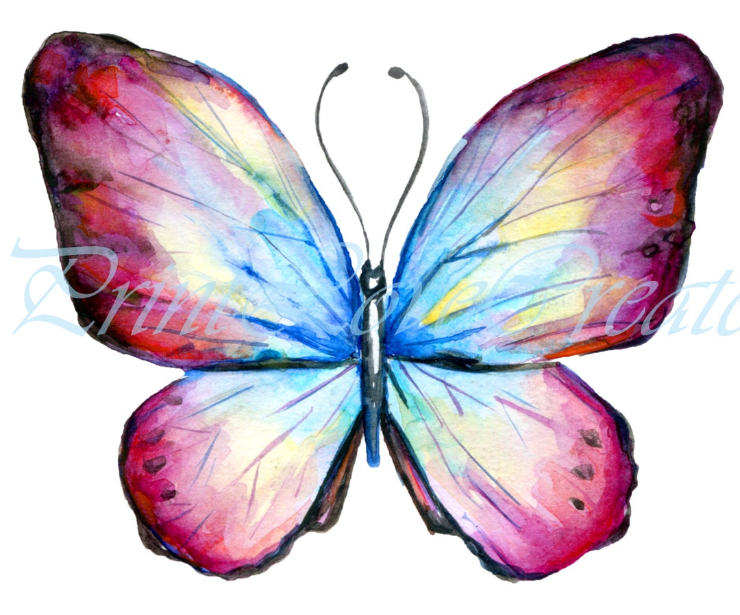 Pink Butterfly Png Downloadable Butterfly Tropical Print Watercolor ...