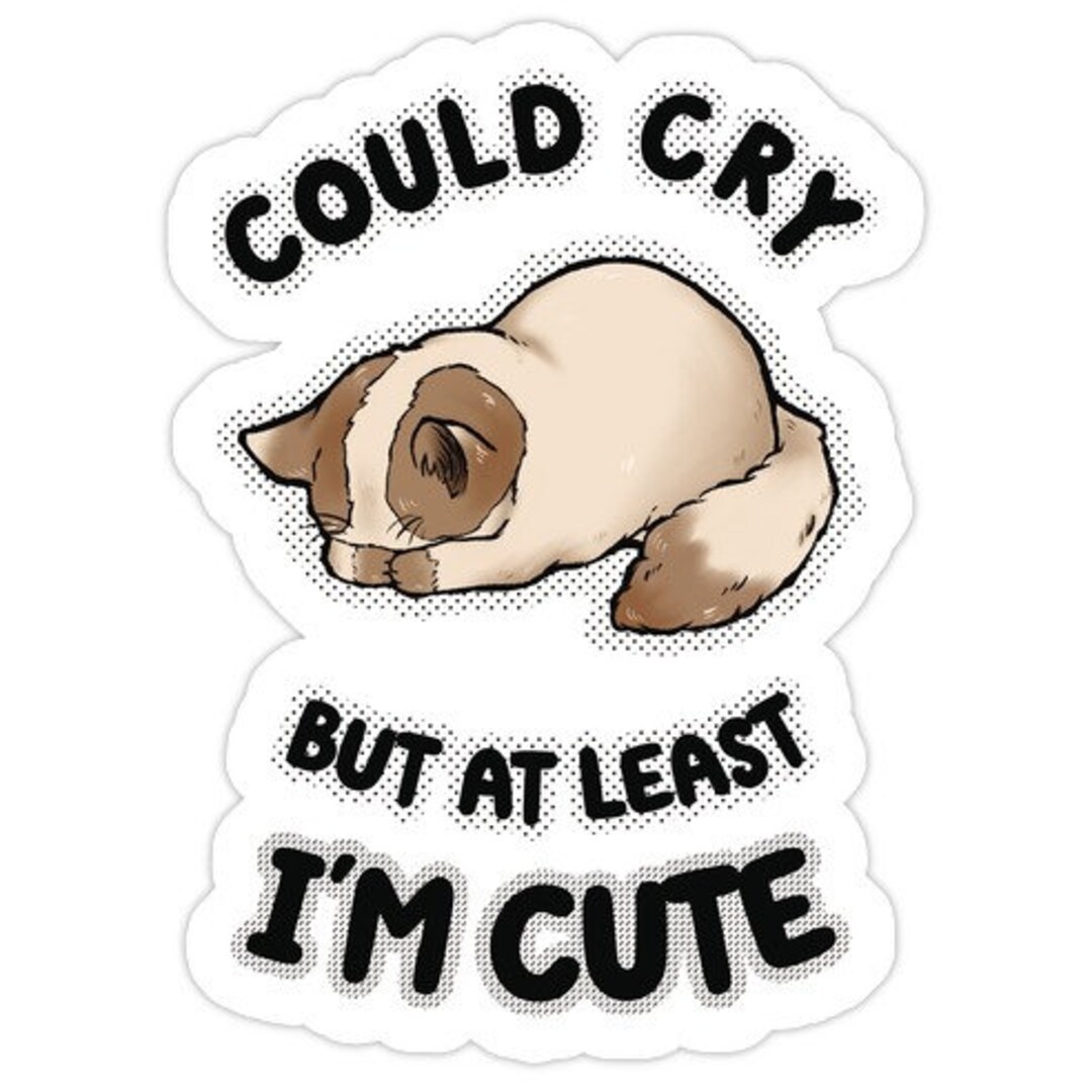 Could Cry but at Least I'm Cute Die Cut Sticker - Etsy