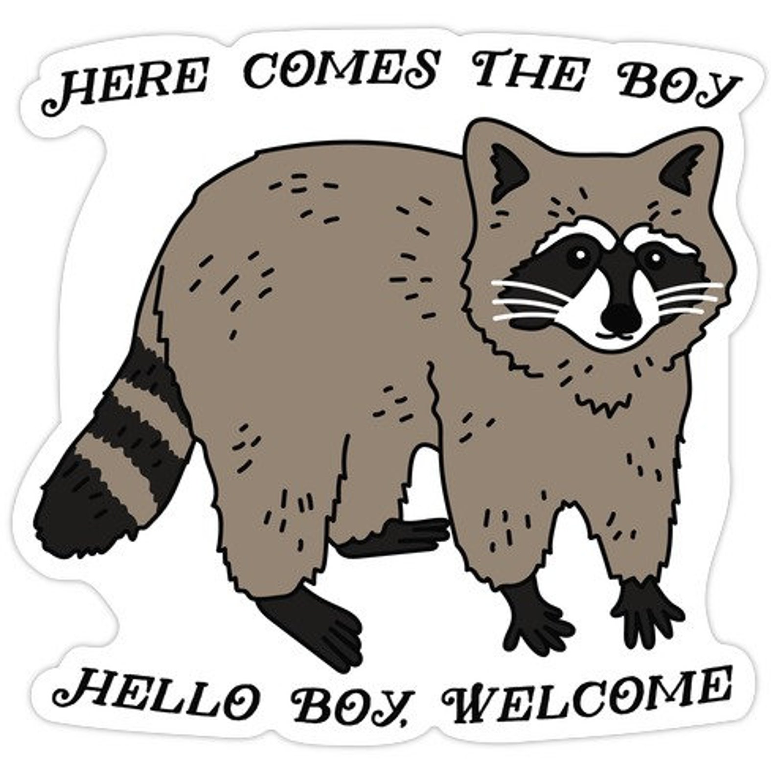 Here Comes The Boy Hello Boy Welcome Raccoon Die Cut | Etsy
