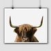Modern Farmhouse Highland Cow Print Digital Download. Animal Head ...