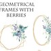 15 Geometric Frames With Flowers & Berrries, Watercolor Clipart, Frames ...