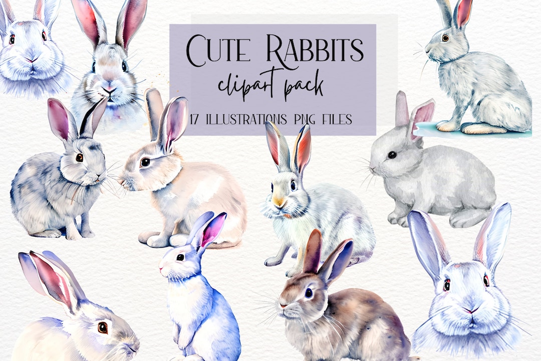 Watercolor Rabbit Clipart, Easter Bunny PNG, Spring Bunny Digital Art ...