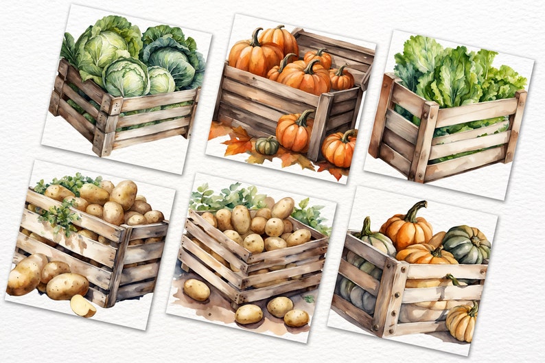 Watercolor Vegetables Clipart, Kitchen Decor, Gardening Clipart, Png ...