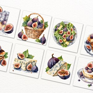 Watercolor Fig Clipart Bundle: Summer Fruit Illustrations (PNG) - Etsy
