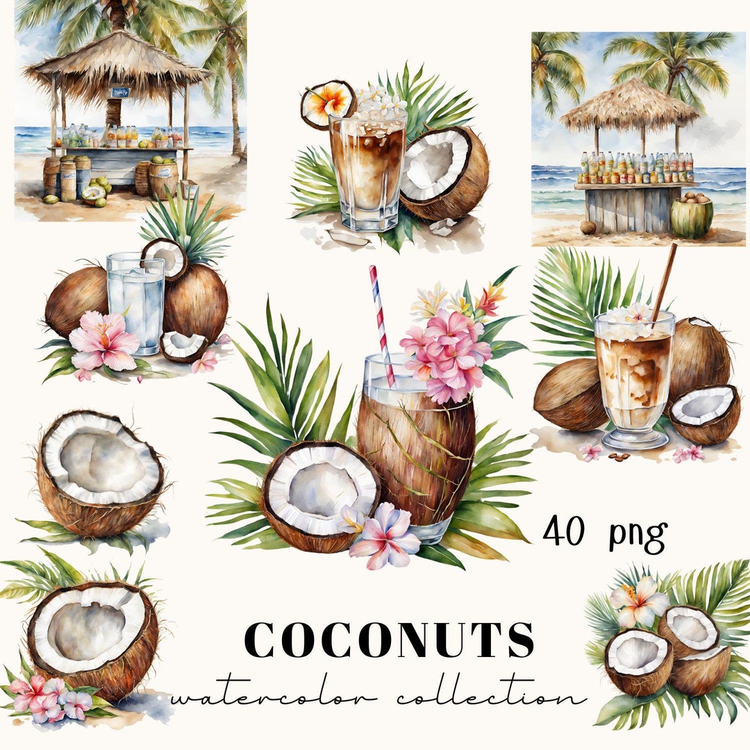 Watercolor Coconut Clipart, Tropical Food, Summer Fruit, Coconut Drink ...
