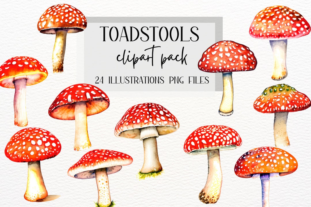 Watercolor Toadstools PNG Clipart, Magical Enchanted Forest Mushrooms ...
