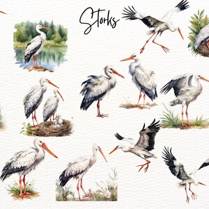 Stork Clipart, Nursery Clipart, Kids Clipart, Watercolor Painting, Bird ...