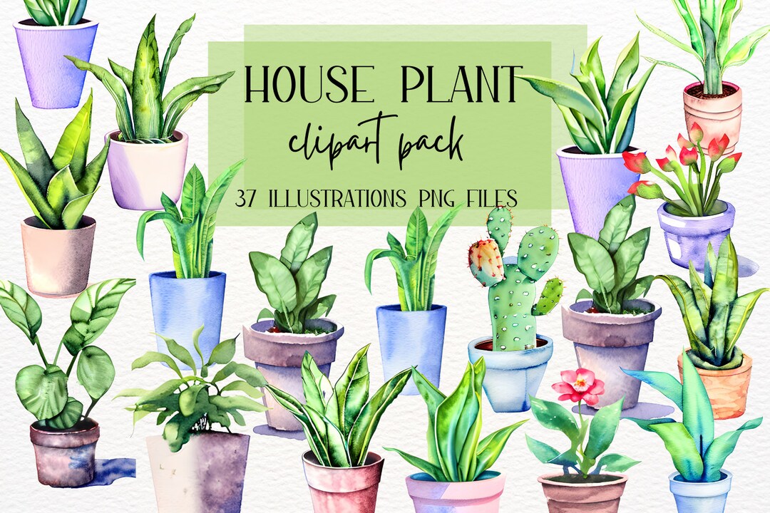 Watercolor House Plants Clipart, Potted Plants, Watercolor Clipart ...