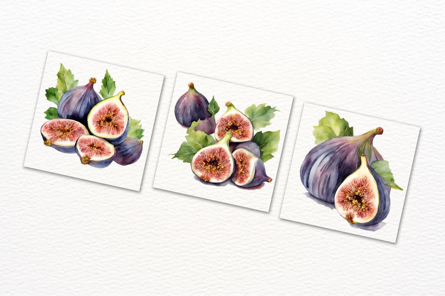 Watercolor Fig Clipart, Figs Watercolour Clipart Bundle, Summer Fruit ...