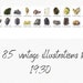 Vintage Stones Clipart, Crystals Clipart, Bohemian Decor Stones - Etsy