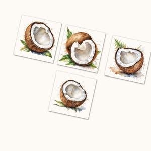 Watercolor Coconut Clipart, Tropical Food, Summer Fruit, Coconut Drink ...