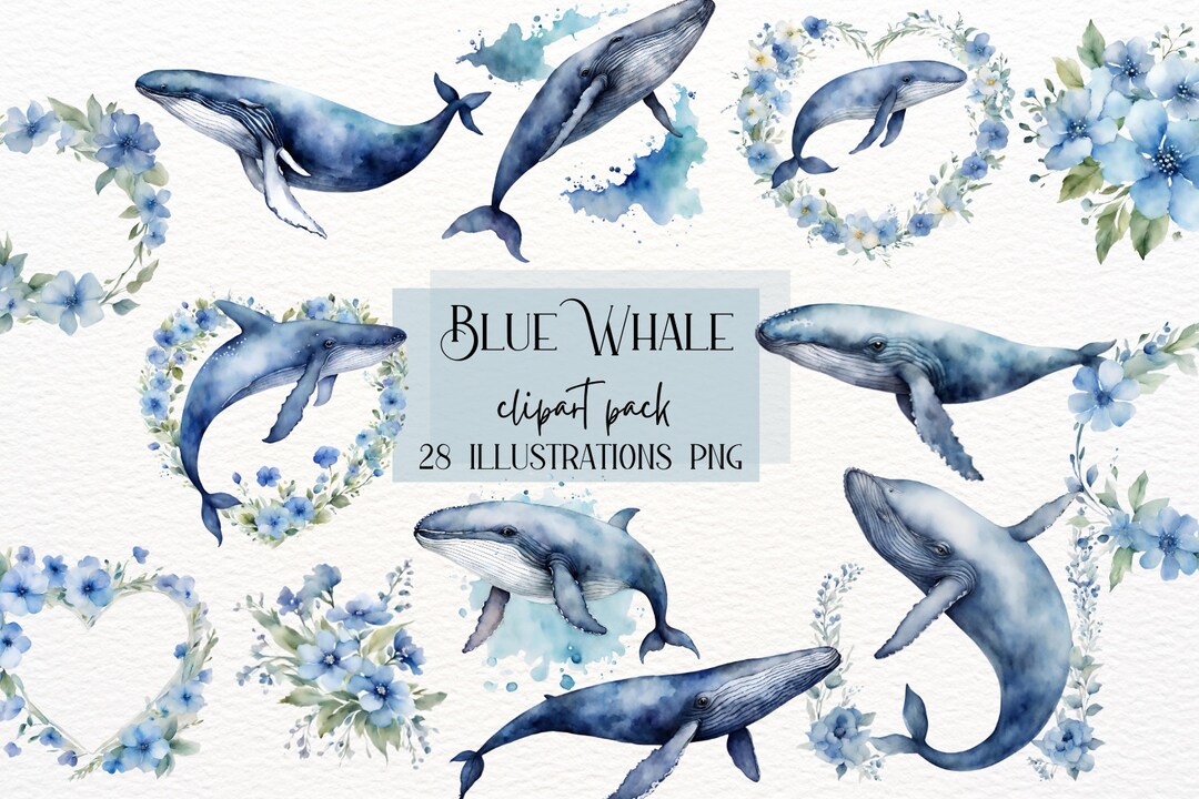 Watercolor Blue Whale, Nursery Decor, Baby Wall Art, Ocean Whale ...