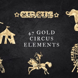 Gold Circus Elements, Circus Party Invitation - Etsy