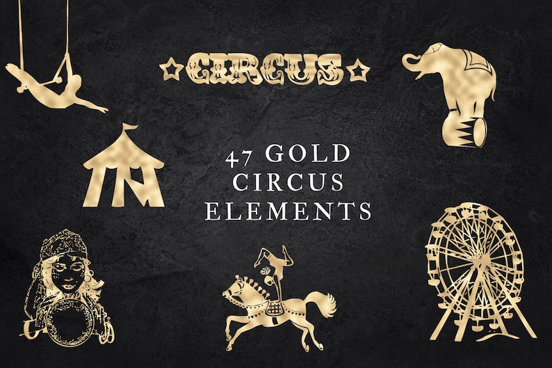 Gold Circus Elements, Circus Party Invitation - Etsy