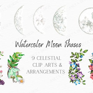 Watercolor Moon Phases, Moon Clipart, Decorated Moon, Blush Moons - Etsy
