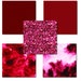 16 Burgundy Textures, Burgundy Foil Paper, Glitter Red Background ...