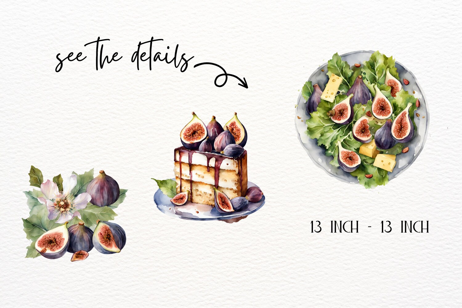 Watercolor Fig Clipart, Figs Watercolour Clipart Bundle, Summer Fruit ...