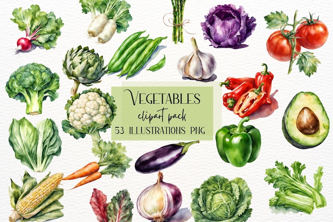 Watercolor Vegetables, Veggie Clipart, Healthy Food Graphic - Etsy