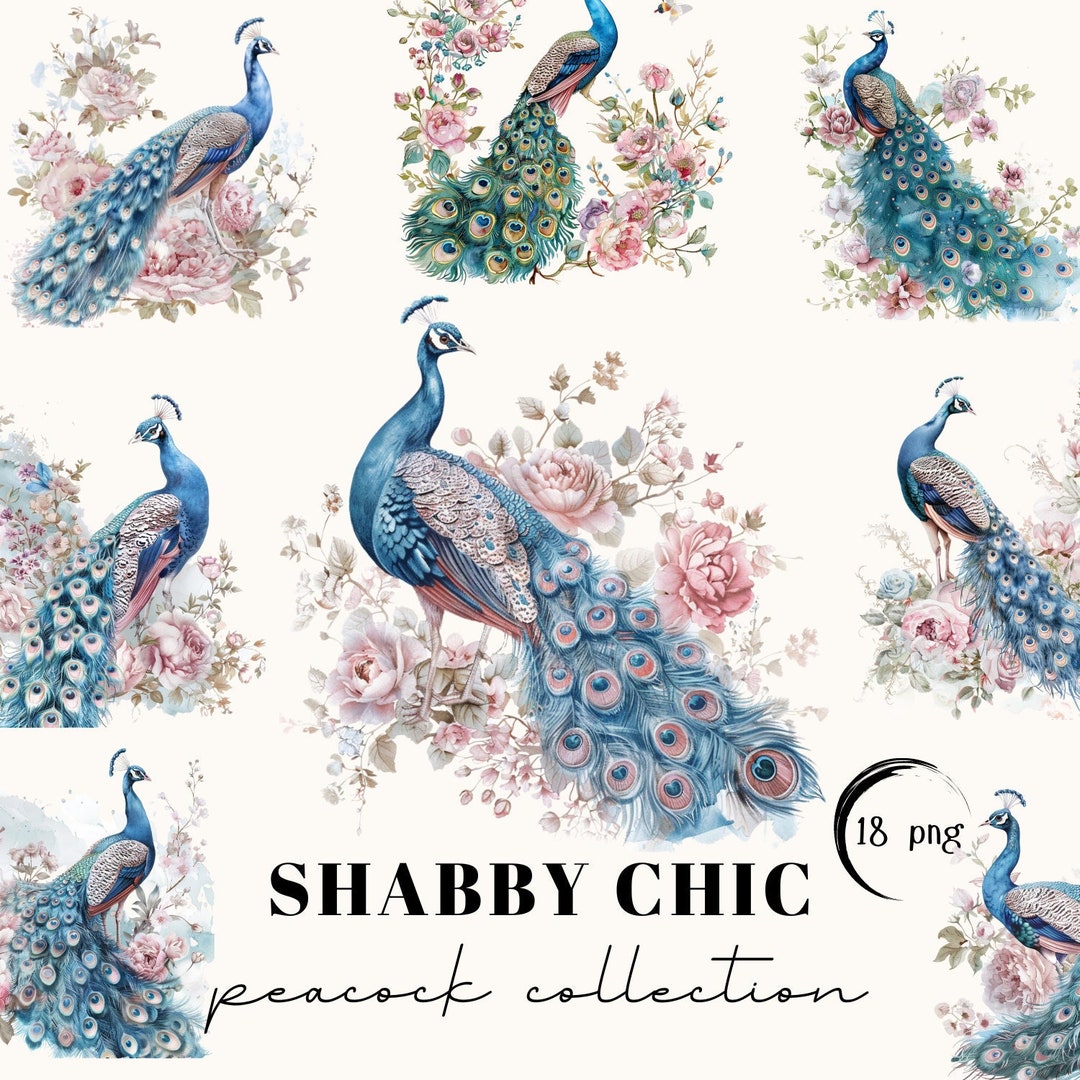 Floral Peacock Clipart, Watercolor Clipart, Floral Clipart, Digital ...