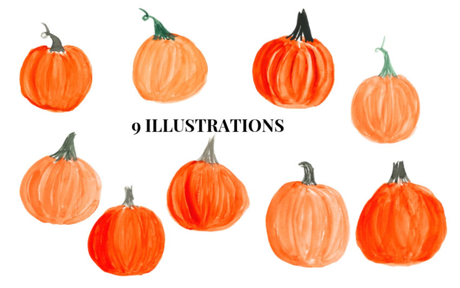 Watercolor Pumpkin Clipart, Orange Pumpkin, Harvest and Autumn ...