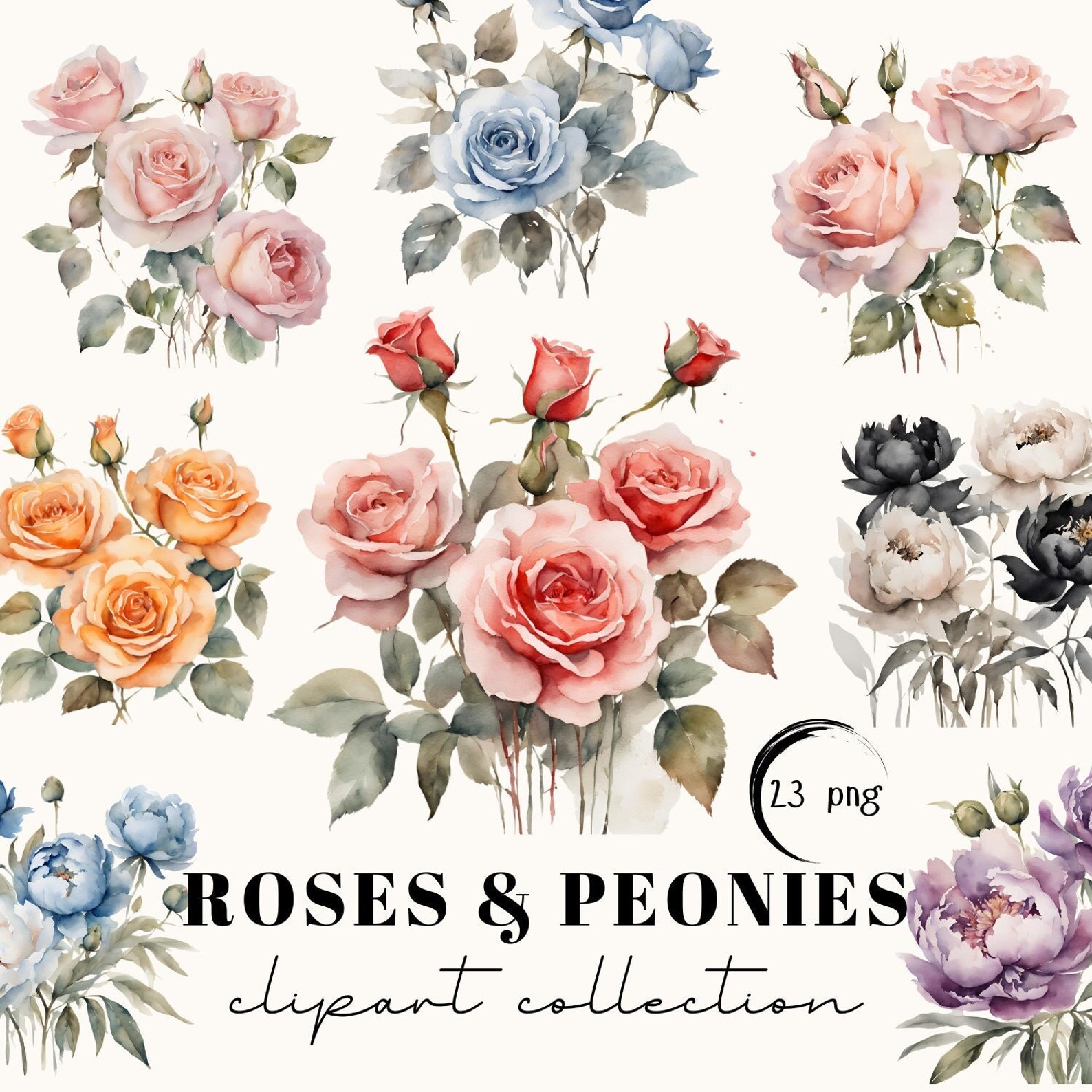Peony Roses Watercolor Clipart, Scrapbook Images, Home Decor, Wall Art ...