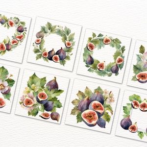 Watercolor Fig Clipart Bundle: Summer Fruit Illustrations (PNG) - Etsy