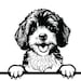 PEEKING CAVAPOO SVG, Peeking Cavapoo Clipart, Peeking Cavapoo Svg Files ...