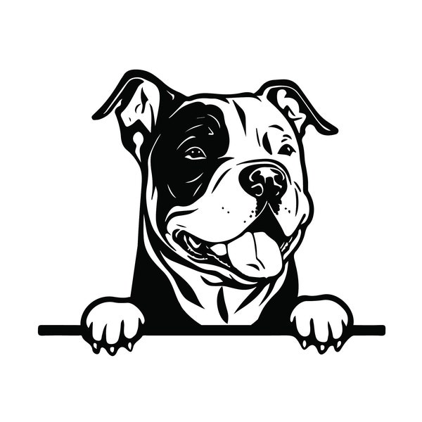 American Bully Face - Etsy