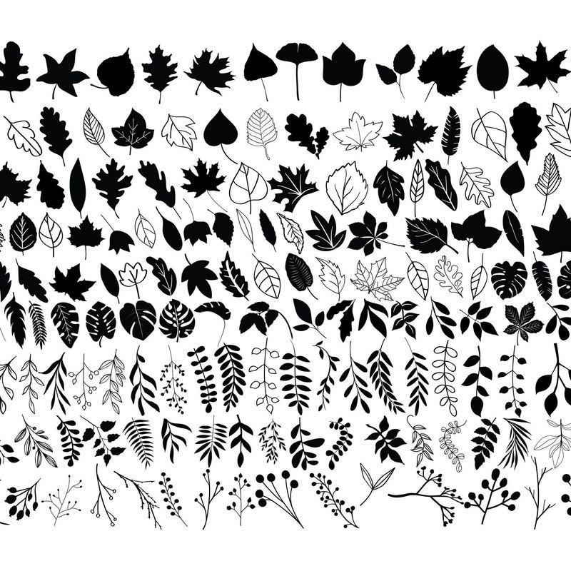 Leaves Svg - Etsy