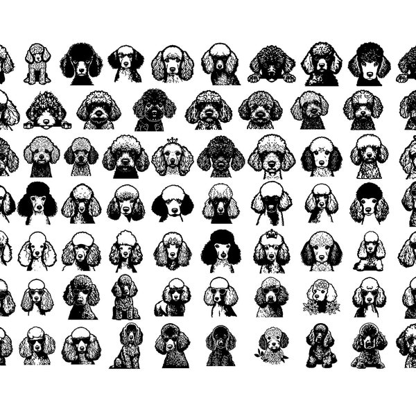 Miniature Poodle - Etsy