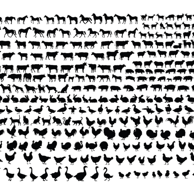 Party Animals Farm Sign - Etsy UK